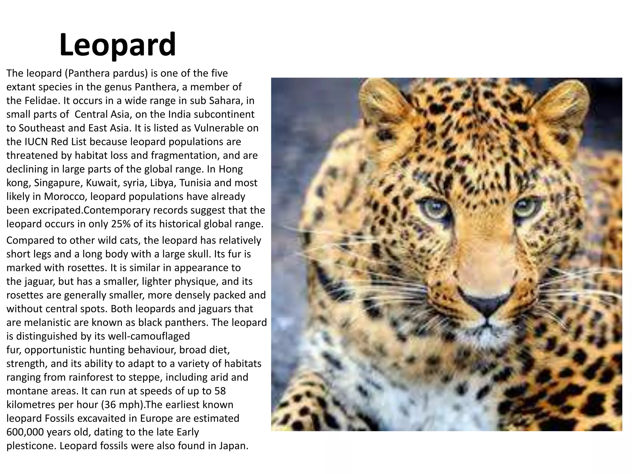 Animals registered in red book | PPTX