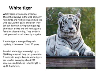 Animals registered in red book | PPTX