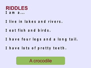 Animals riddles | ODP