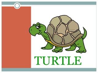 Animals Riddles | PPT