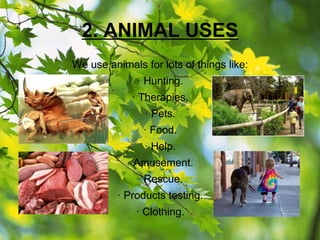 CLIL:Animals' rights | PPTX