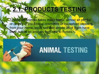 CLIL:Animals' rights | PPTX