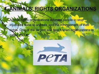 CLIL:Animals' rights | PPT