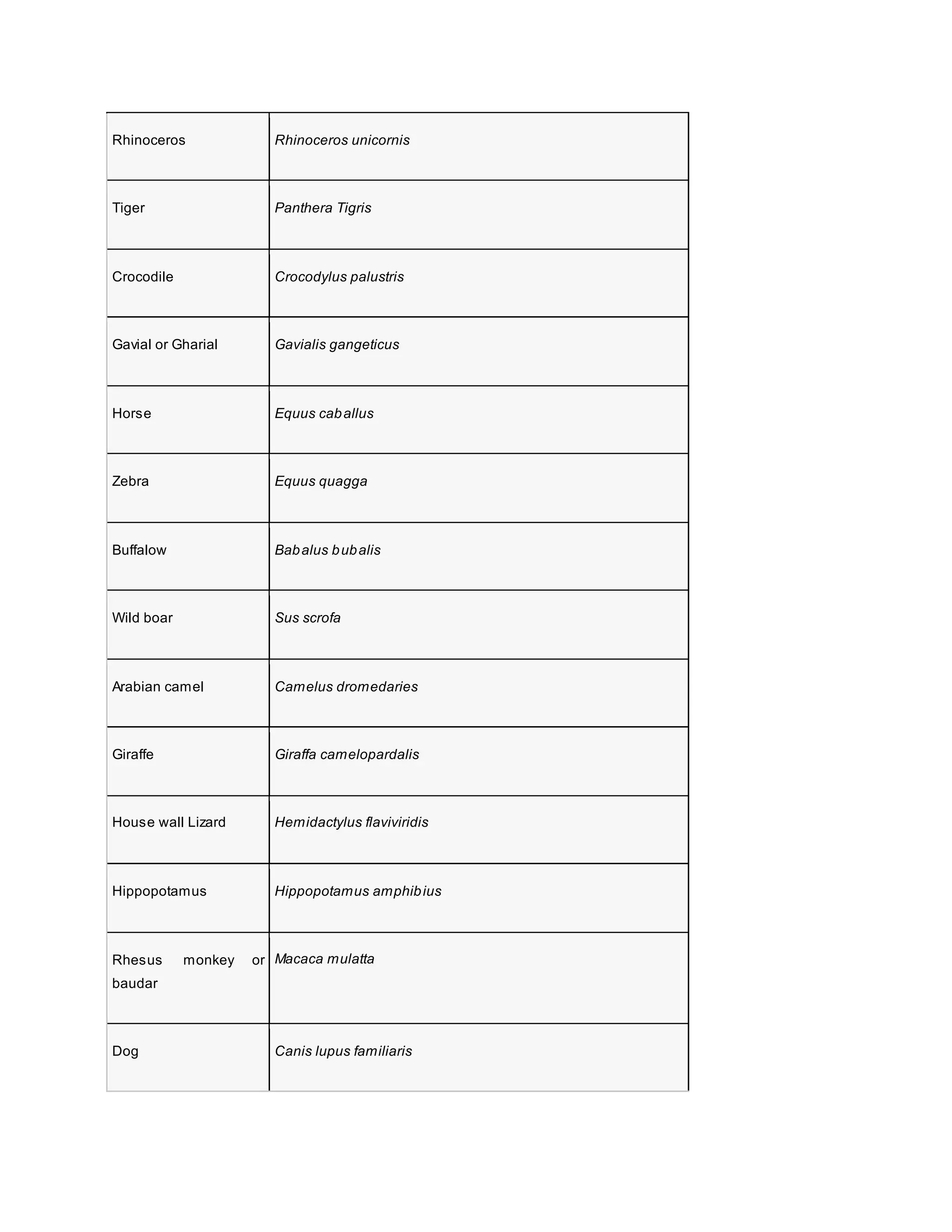 Animals science name | DOCX
