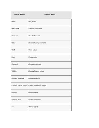 Animals science name | DOCX