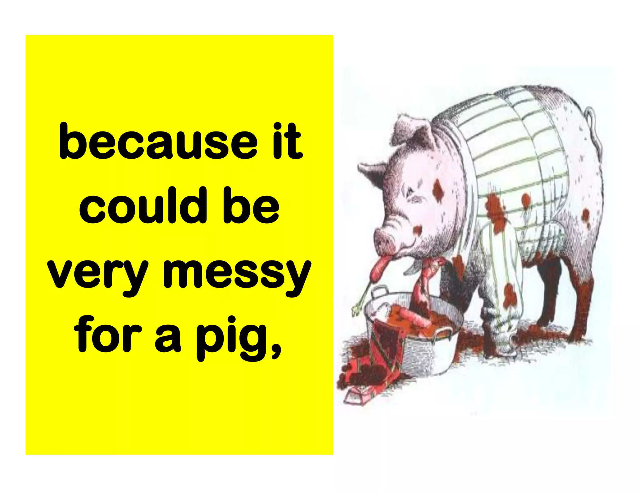 Animals should definitely not wear clothing | PDF