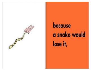 Animals should definitely not wear clothing | PDF