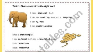ANIMALS SIMPLE PRESENT .pptx