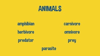 animals+slides.pdf