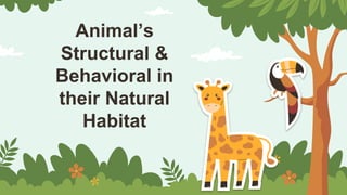 Animal’s Structural & Behavioral in their Natural Habitat.pptx