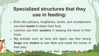 Animal’s Structural & Behavioral in their Natural Habitat.pptx