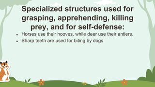 Animal’s Structural & Behavioral in their Natural Habitat.pptx