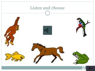 Animals test | PPSX