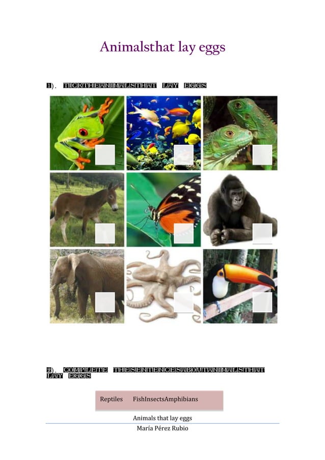 Animals that lay eggs | DOCX | Reptiles | Pets