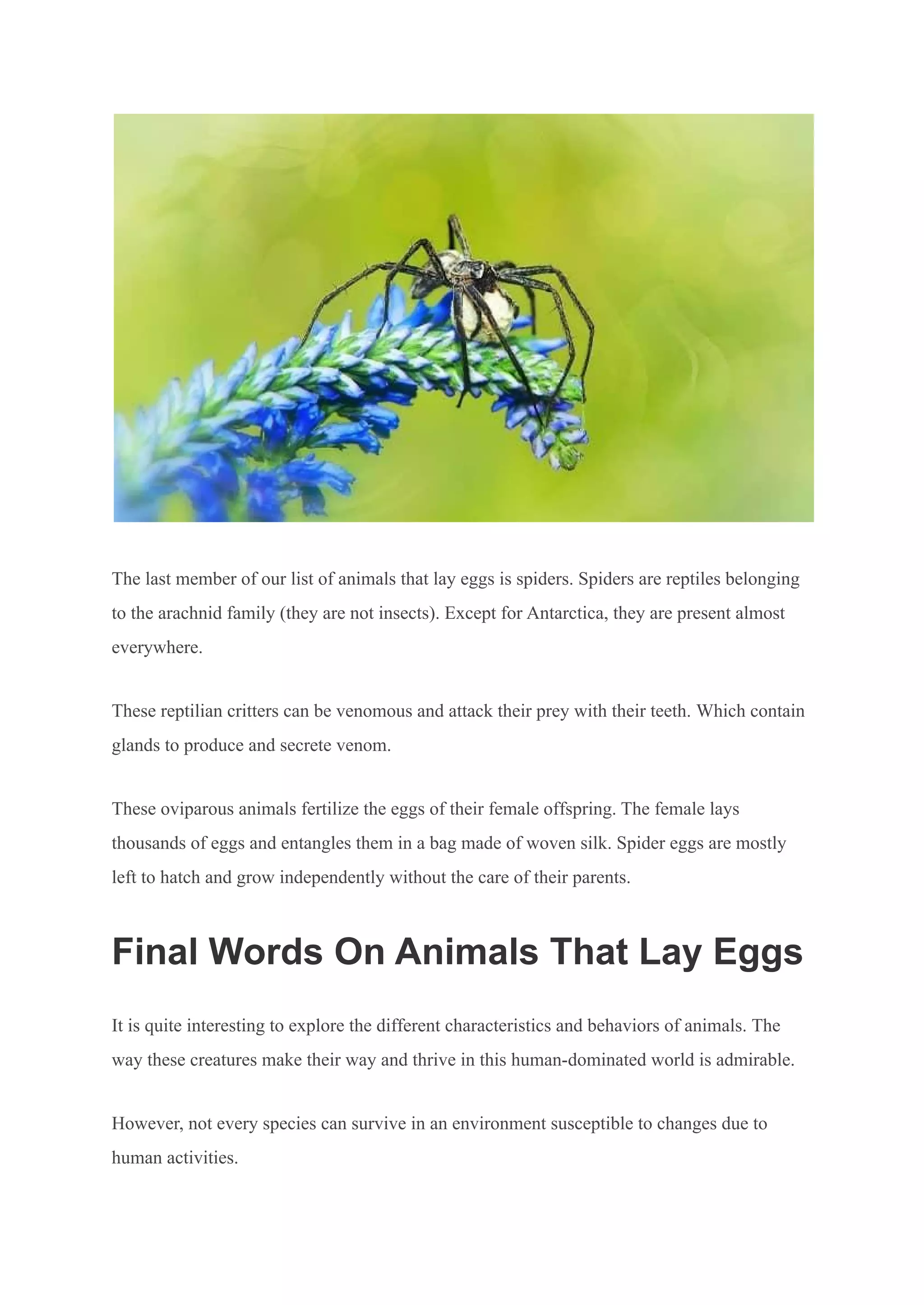 Animals That Lay Eggs (with Pictures).pdf