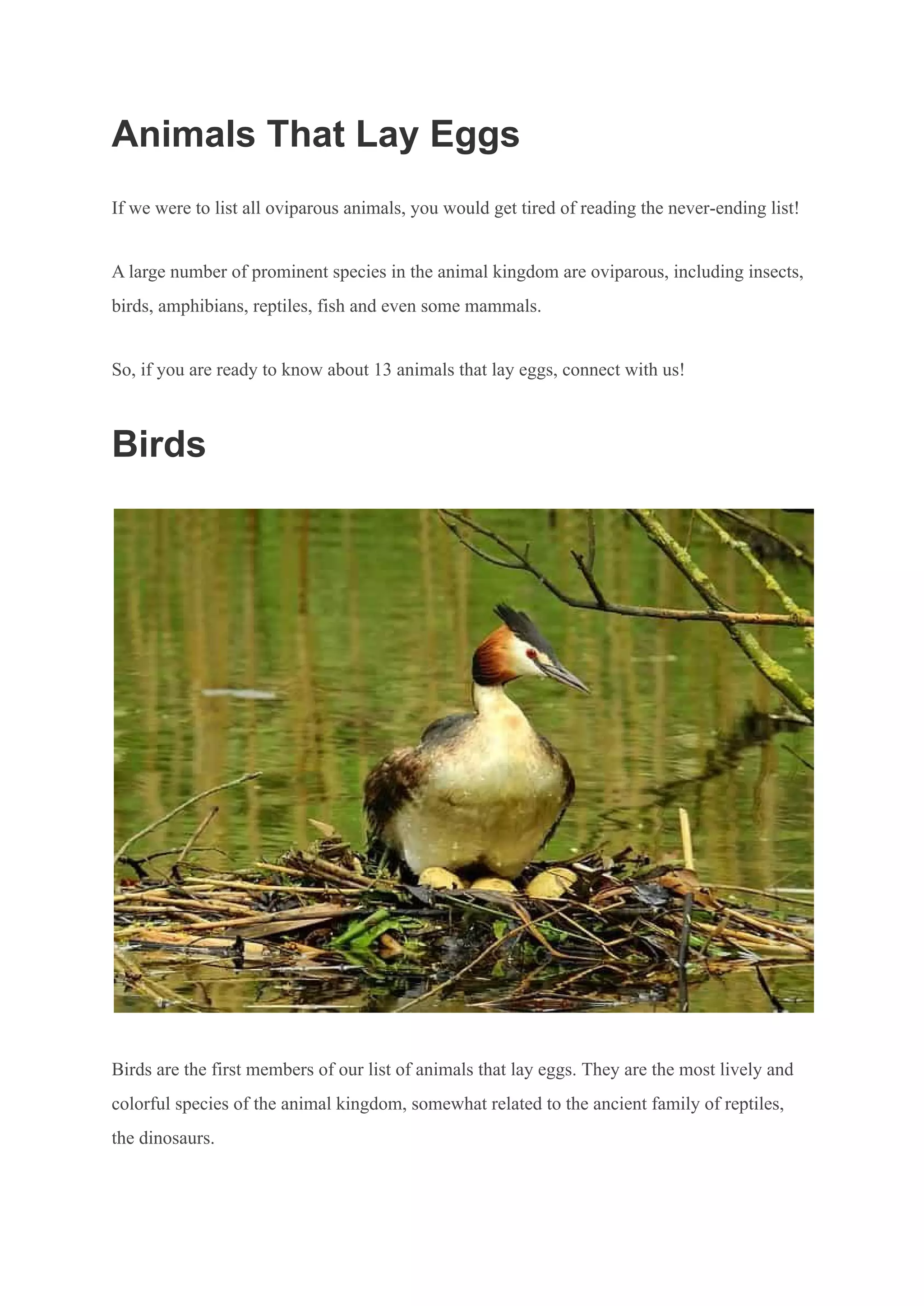 Animals That Lay Eggs (with Pictures).pdf