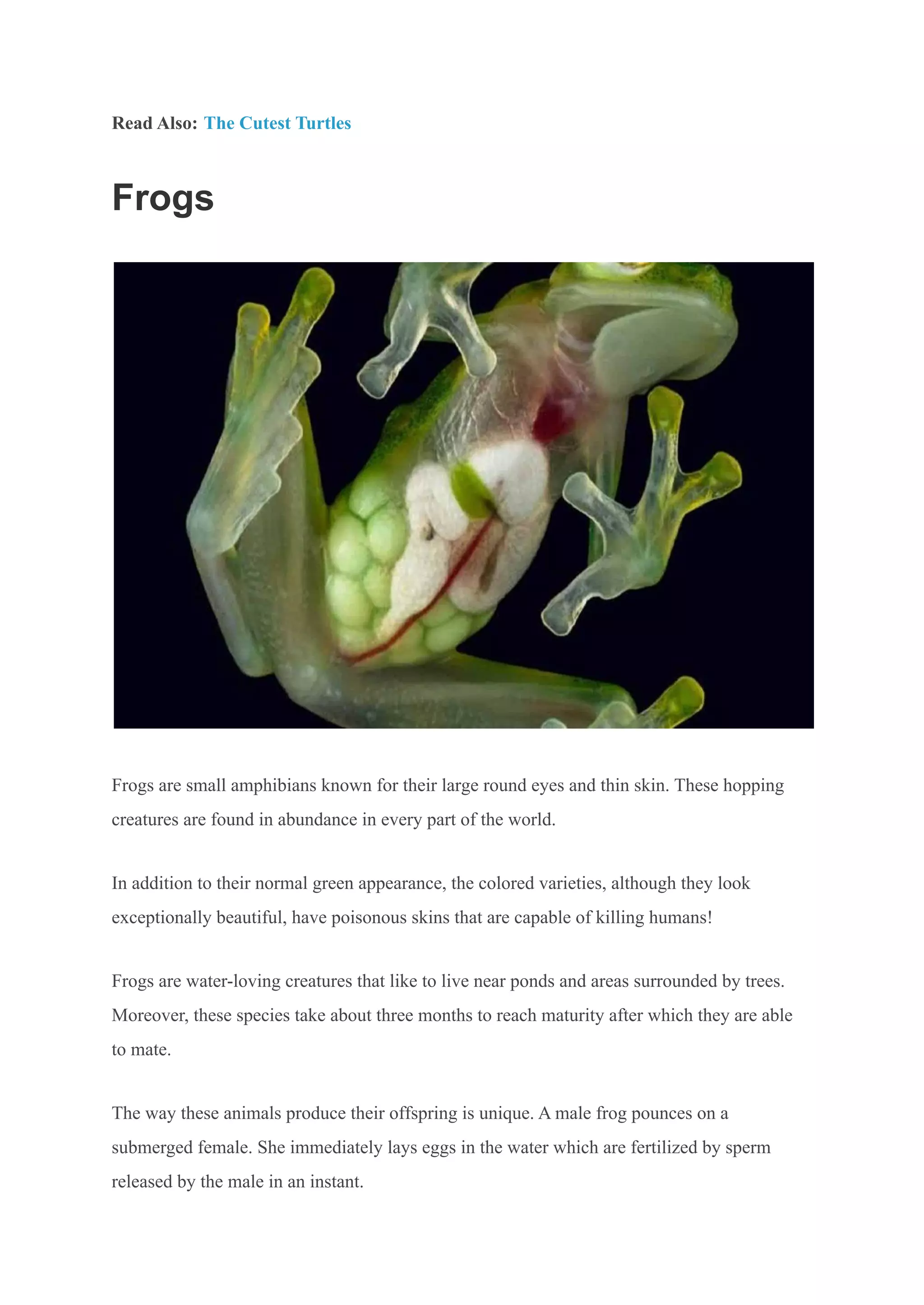 Animals That Lay Eggs (with Pictures).pdf