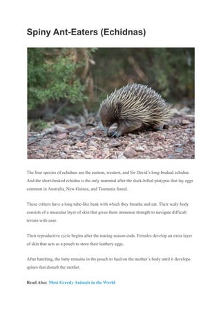 Animals That Lay Eggs (with Pictures).pdf