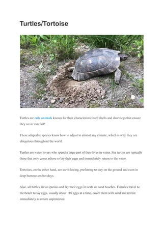 Animals That Lay Eggs (with Pictures).pdf