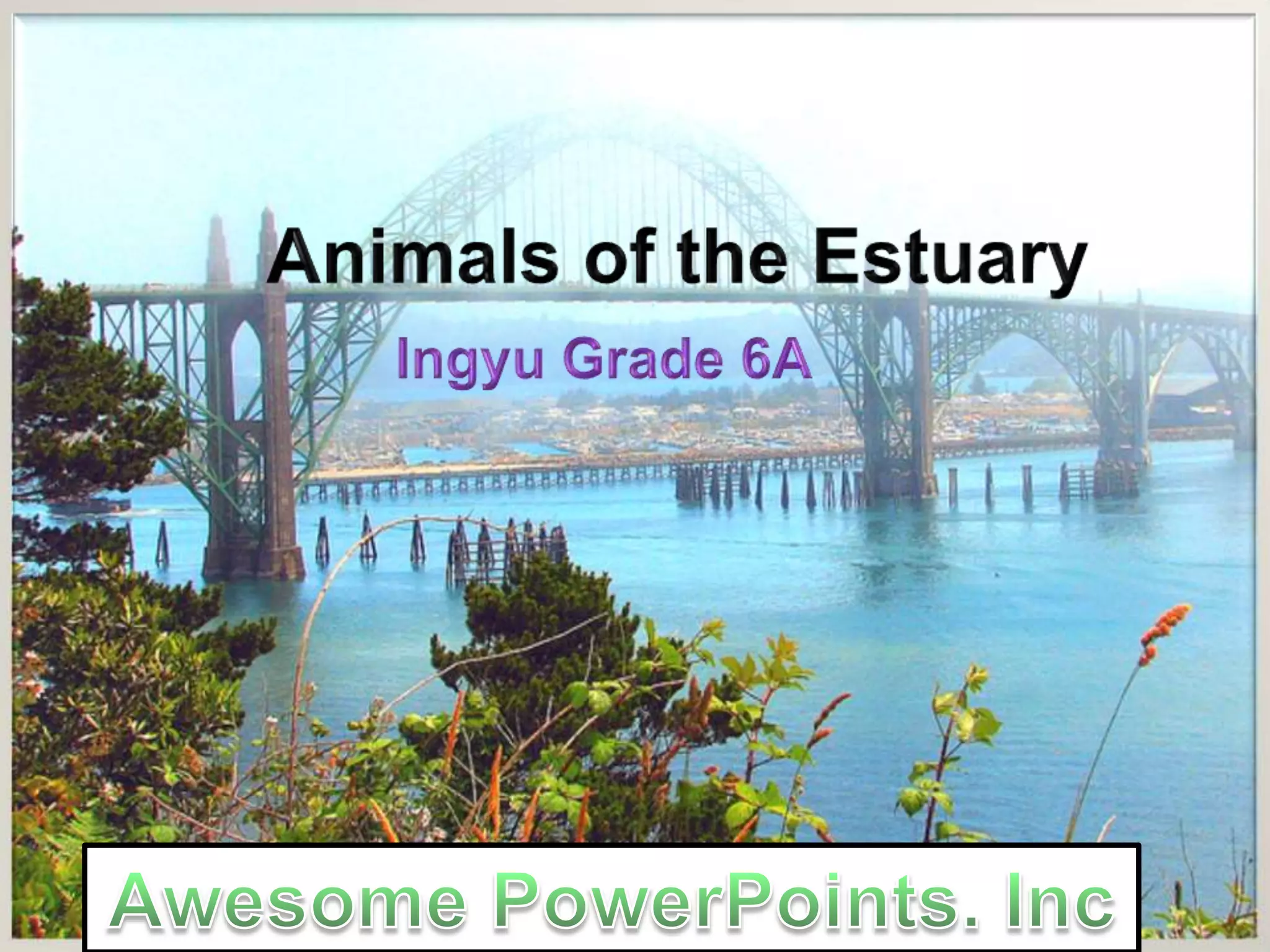 Animals that Live in Estuaries | PPTX