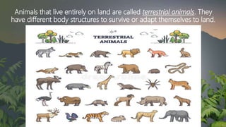 ANIMALS THAT LIVE ON LAND.pptx