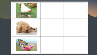 ANIMALS THAT LIVE ON LAND.pptx