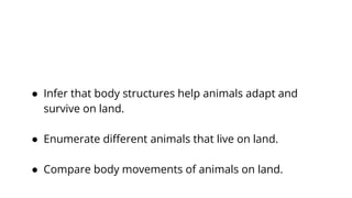 Animals that Live on Land.pptx