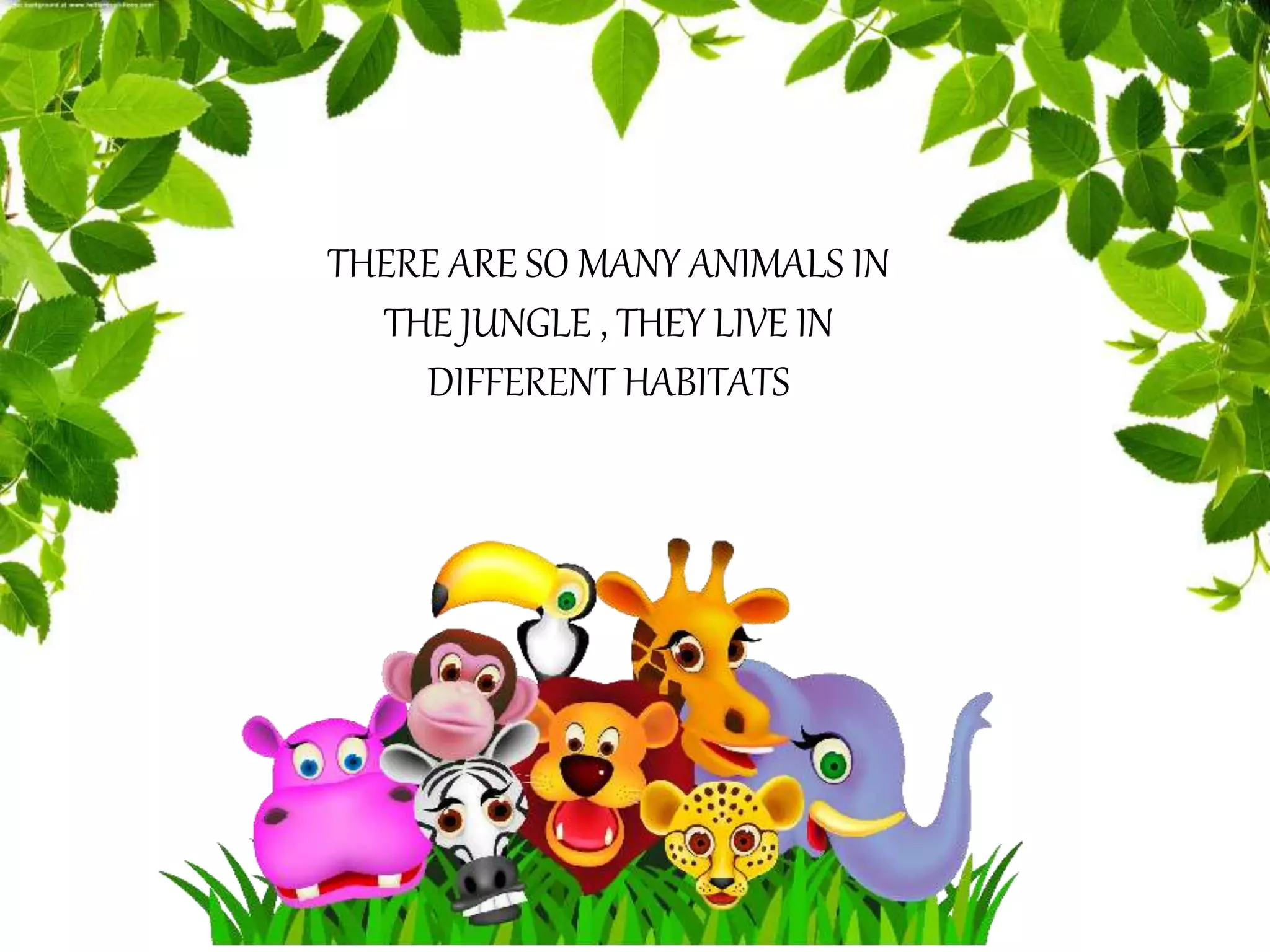 Animals & their habitat | PPTX