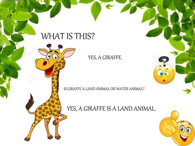 Animals & their habitat | PPTX | Birds | Pets