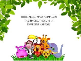 Animals & their habitat | PPTX | Birds | Pets