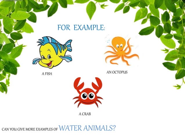 Animals & their habitat | PPTX | Birds | Pets