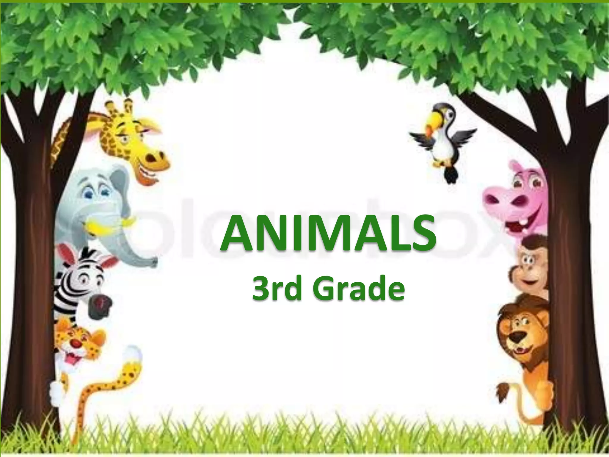 Animals third grade | PPTX | Dogs | Pets