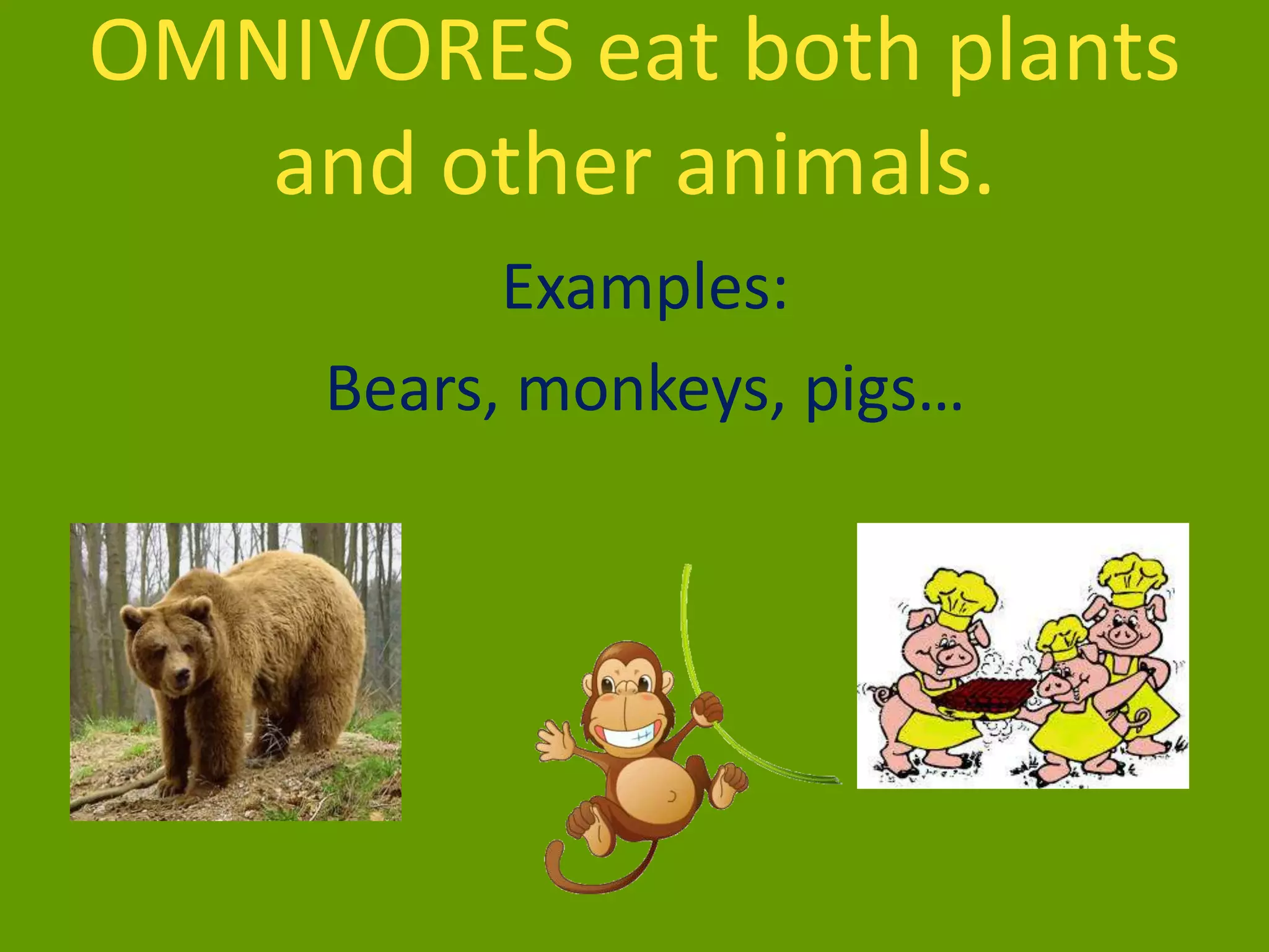 Animals third grade | PPTX