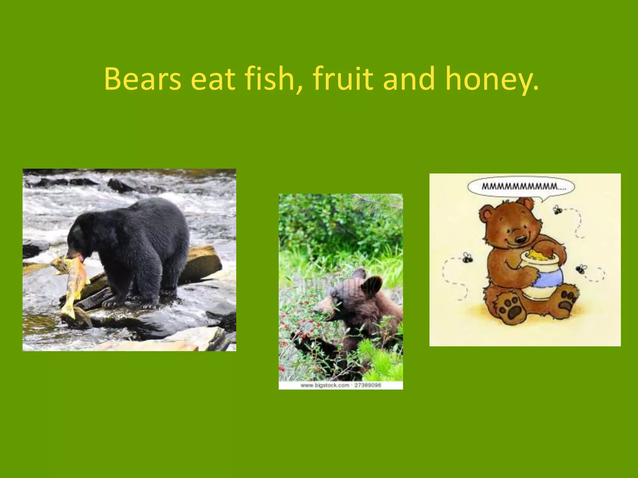 Animals third grade | PPTX