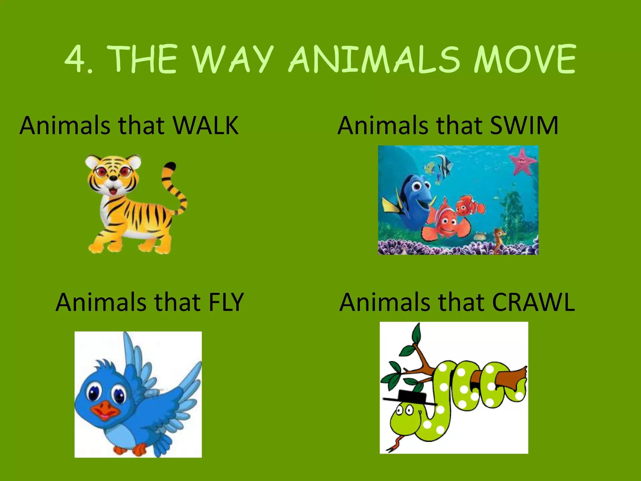 Animals third grade | PPTX