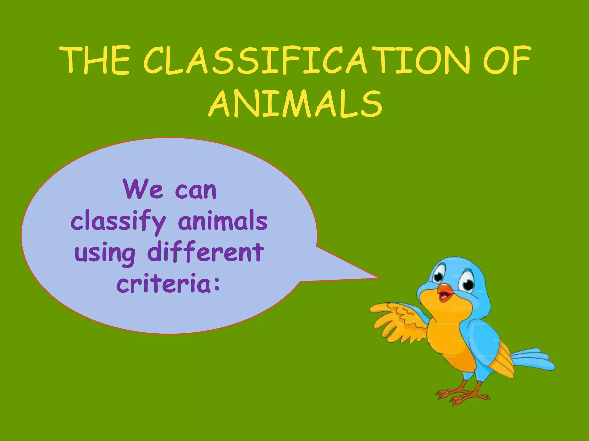 Animals third grade | PPTX