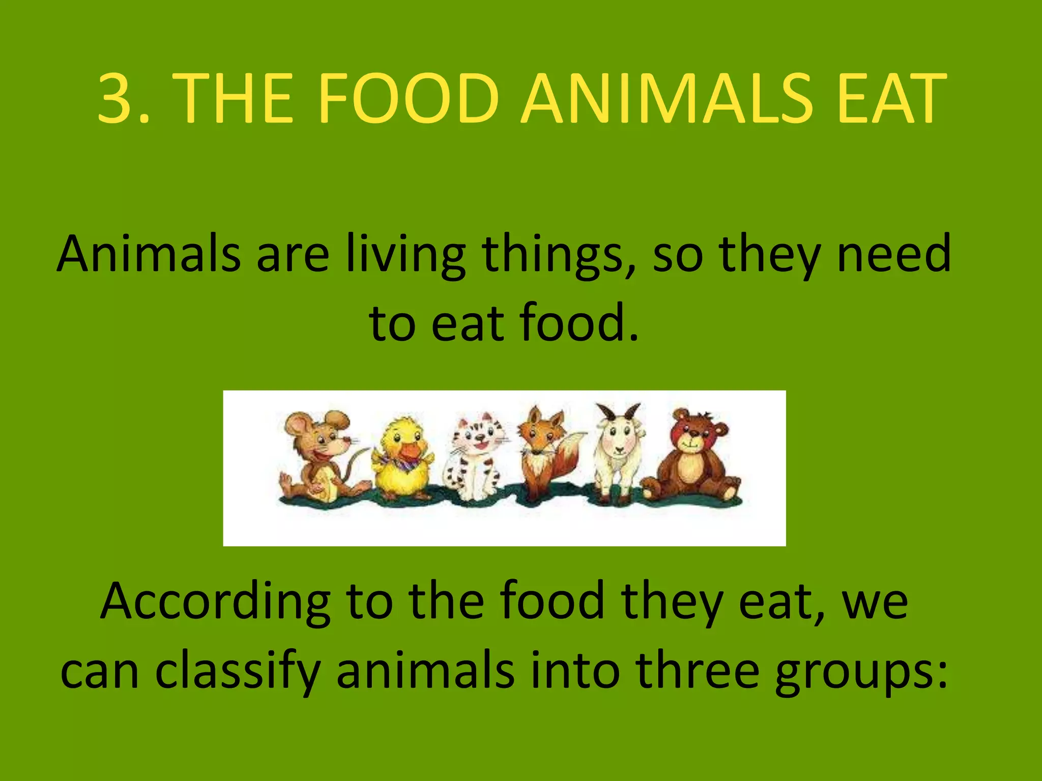 Animals third grade | PPTX