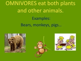 Animals third grade | PPTX