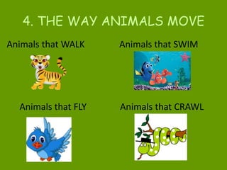 Animals third grade | PPTX