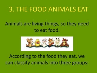 Animals third grade | PPTX