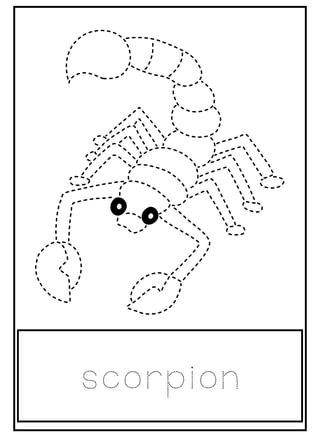 Wild Fun: Animal Tracing & Coloring Book for Kids! | PDF