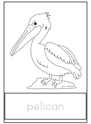 Wild Fun: Animal Tracing & Coloring Book for Kids! | PDF