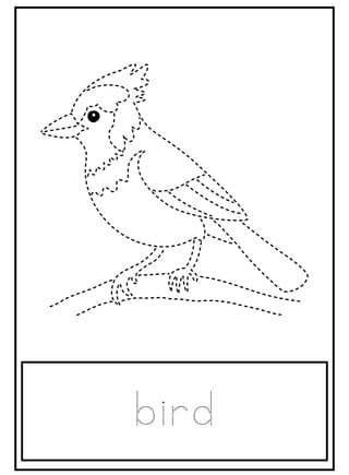 Wild Fun: Animal Tracing & Coloring Book for Kids! | PDF