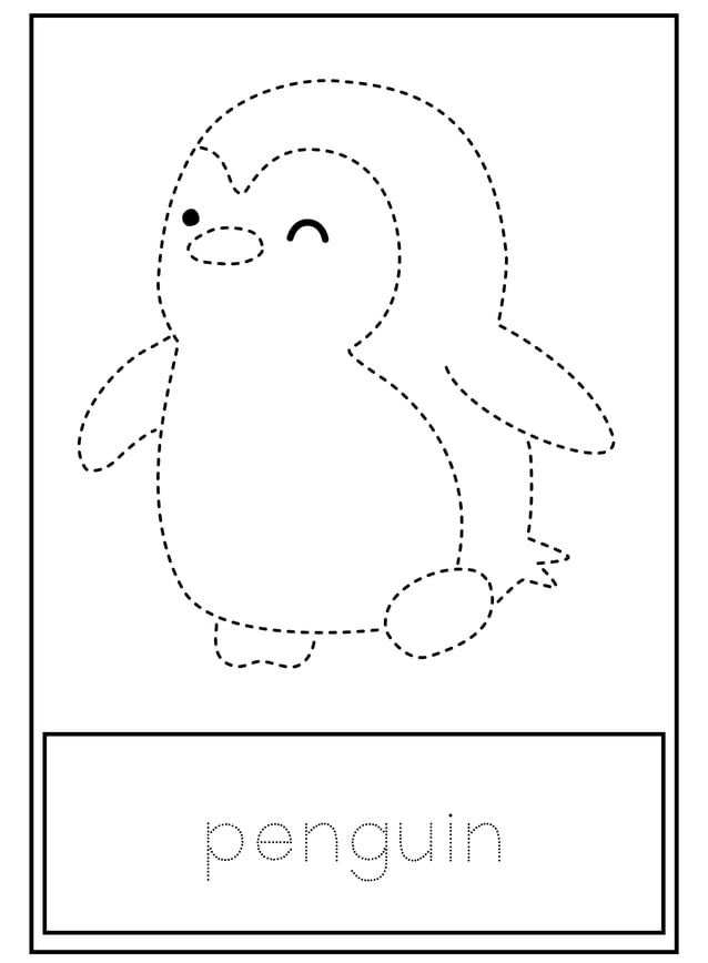 Wild Fun: Animal Tracing & Coloring Book for Kids! | PDF