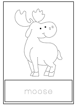 Wild Fun: Animal Tracing & Coloring Book for Kids! | PDF