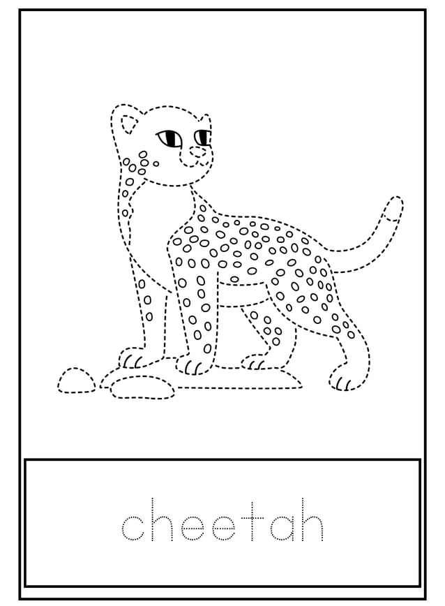 Wild Fun: Animal Tracing & Coloring Book for Kids! | PDF