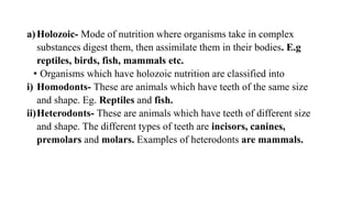 ANIMAL STRUCTURE AND FUNCTIONS- NUTRITION AND DENTITION.pptx
