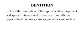 ANIMAL STRUCTURE AND FUNCTIONS- NUTRITION AND DENTITION.pptx