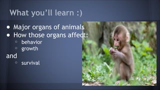 Animal structures powerpoint | PPT