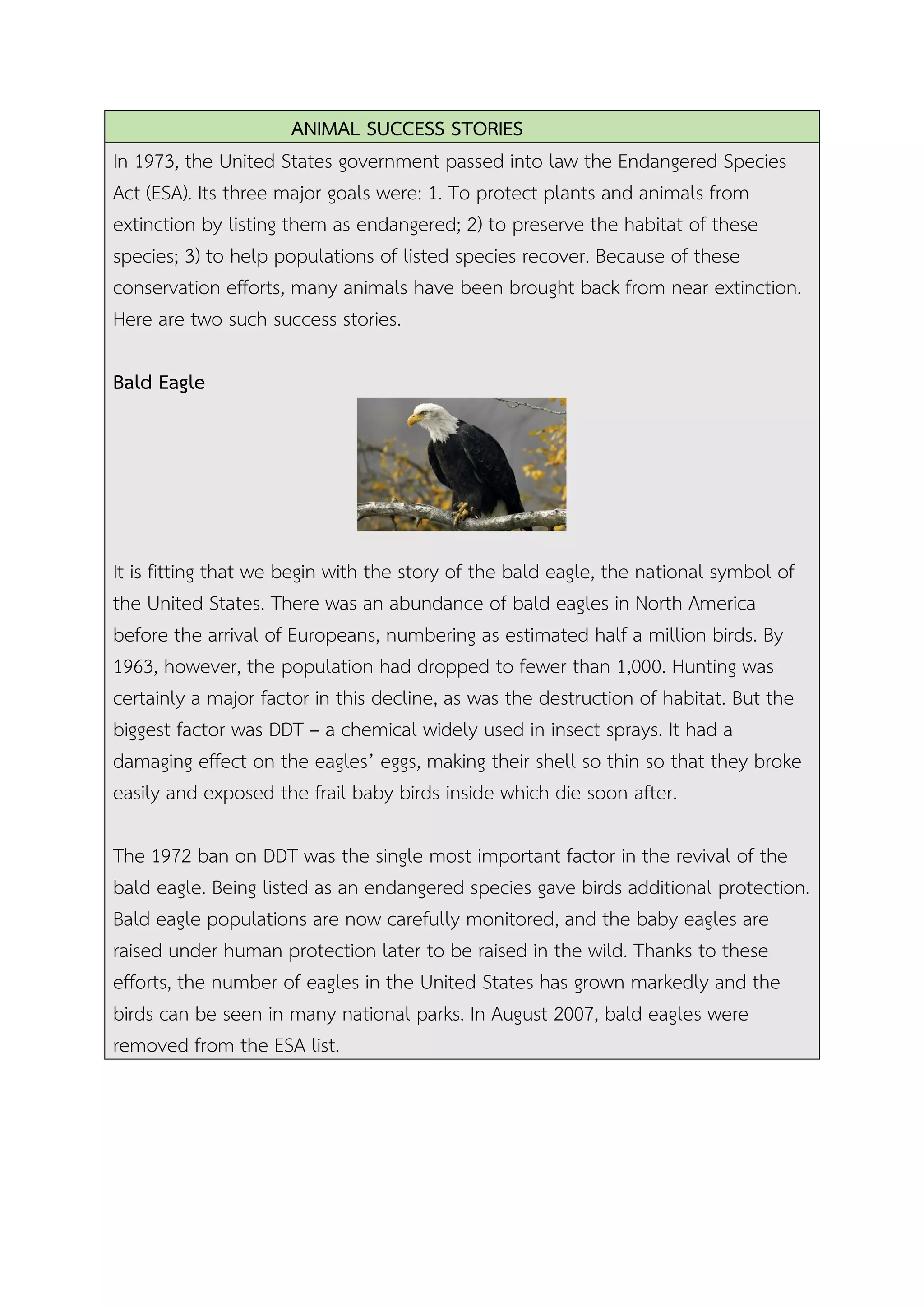 Animal success stories read p2 | PDF